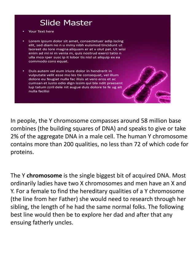 PowerPoint Presentation For Chromosome | PDF | Genetics | Science