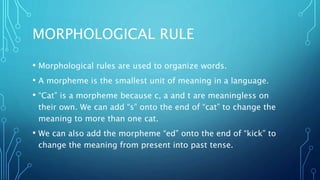 Power point presentation | PPT