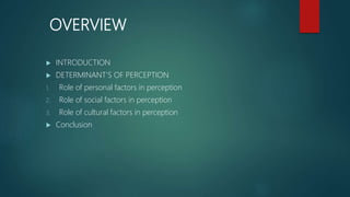 Perception (meaning and determination) | PPT