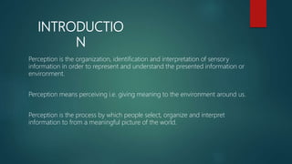 Perception (meaning and determination) | PPT