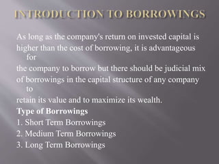 Power point presentation on borrowings and investments | PPTX