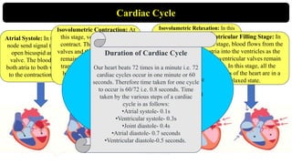 PowerPoint presentation on Cardiovascular System-1.pptx