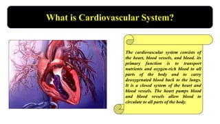 PowerPoint presentation on Cardiovascular System-1.pptx