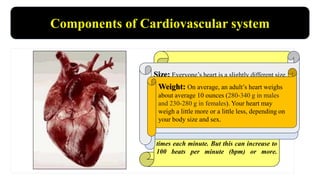 PowerPoint presentation on Cardiovascular System-1.pptx