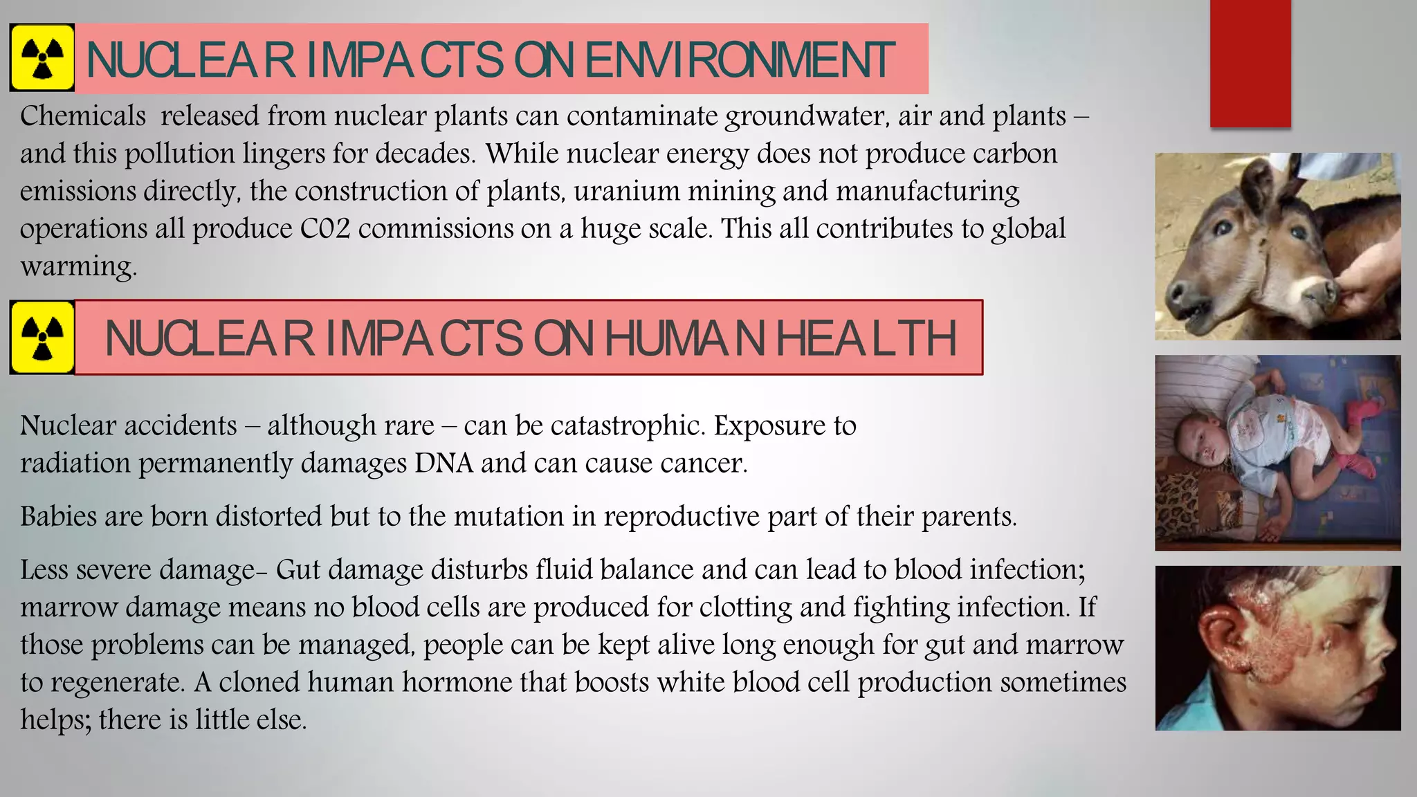 Power point presentation on Nuclear Power in India | PPTX
