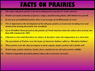CHARACTERISTICS AND PROPERTIES OF THE AMERICAN GRASSLAND PRAIRIES | PPT