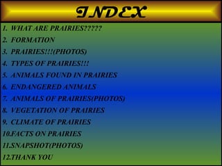 CHARACTERISTICS AND PROPERTIES OF THE AMERICAN GRASSLAND PRAIRIES | PPT