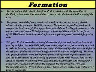 CHARACTERISTICS AND PROPERTIES OF THE AMERICAN GRASSLAND PRAIRIES | PPT