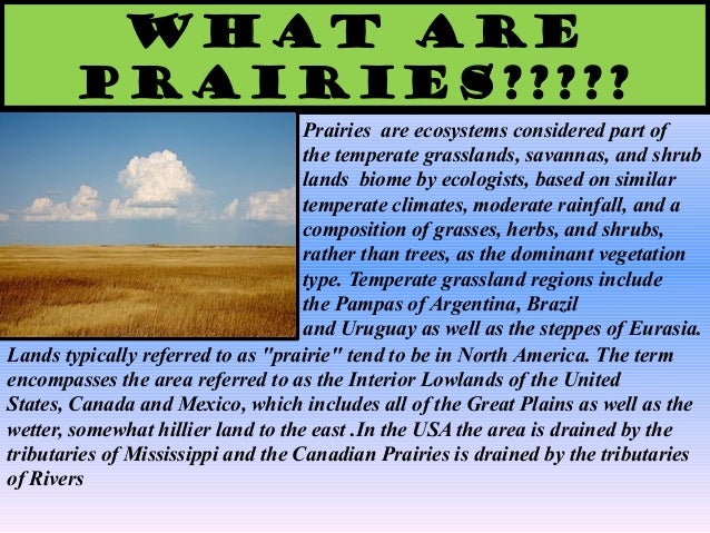 CHARACTERISTICS AND PROPERTIES OF THE AMERICAN GRASSLAND PRAIRIES