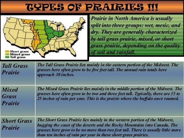 CHARACTERISTICS AND PROPERTIES OF THE AMERICAN GRASSLAND PRAIRIES
