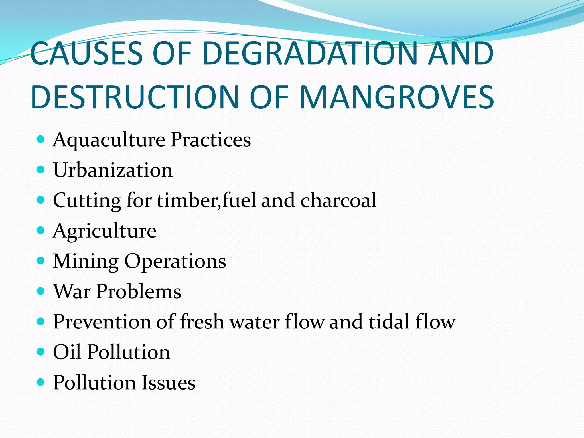 Power point presentation on protection of mangroves from destruction and degradation | PPTX