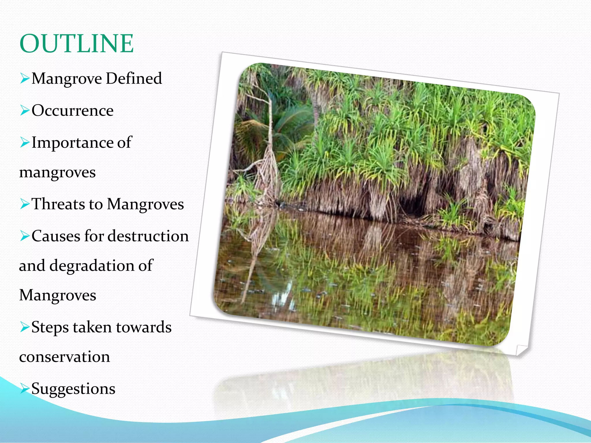 Power point presentation on protection of mangroves from destruction and degradation | PPTX