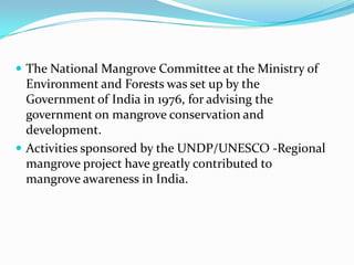 Power point presentation on protection of mangroves from destruction and degradation | PPTX