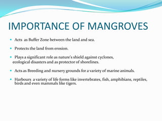 Power point presentation on protection of mangroves from destruction and degradation | PPTX