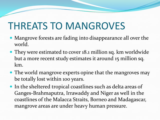 Power point presentation on protection of mangroves from destruction and degradation | PPTX ...