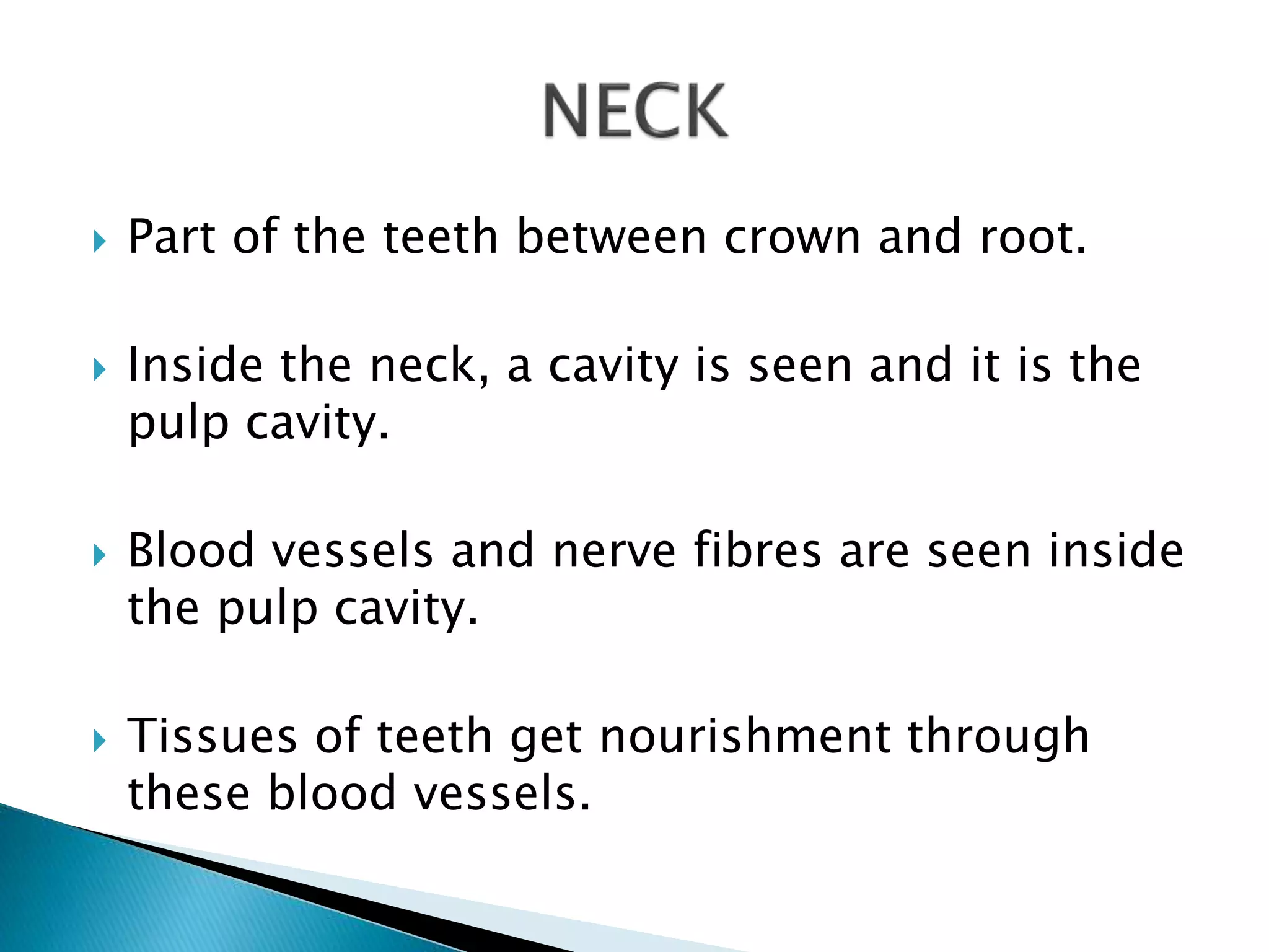 Powerpoint presentation on teeth | PPTX