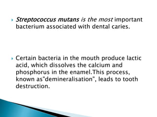 Powerpoint presentation on teeth | PPTX
