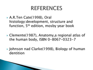 Powerpoint presentation on teeth | PPTX