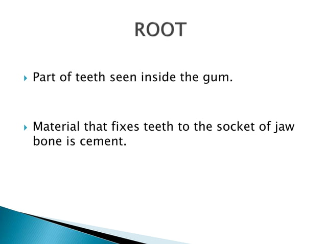 Powerpoint presentation on teeth | PPTX | Dental Health | Diseases and ...