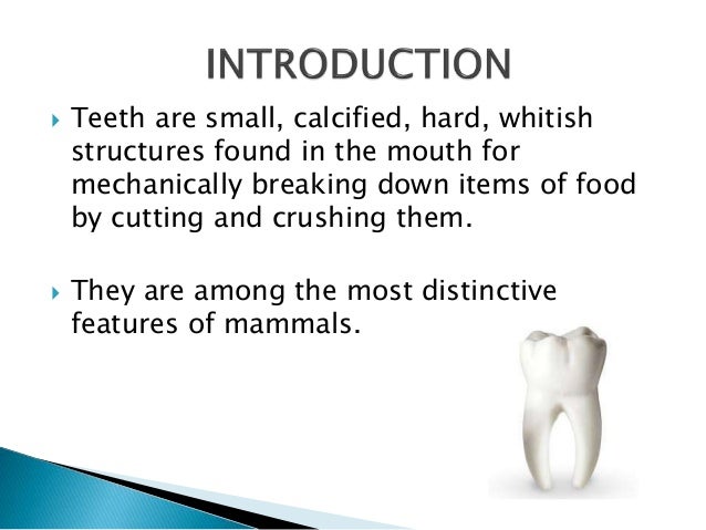 Powerpoint presentation on teeth