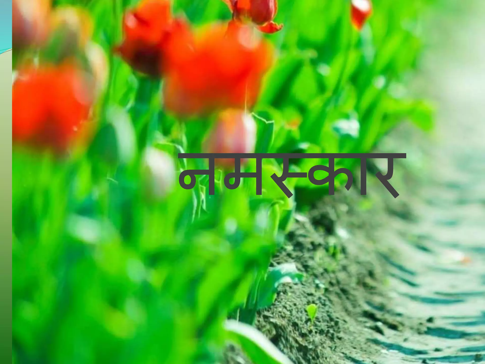 Power point presentation (rakhi .v) | PPT | Free Download