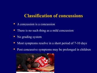 Powerpoint preview | PPT