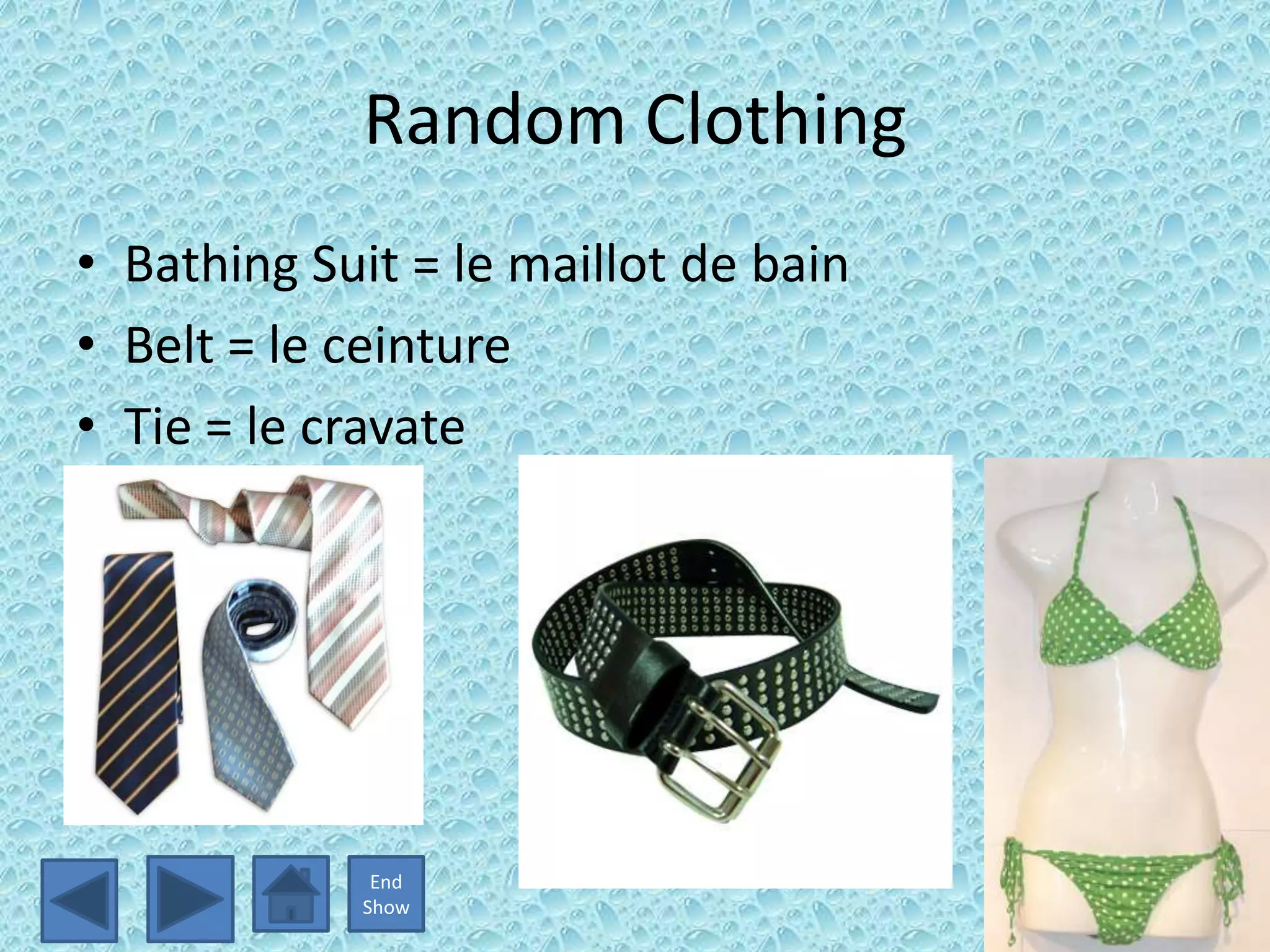 French Clothing Vocab | PPTX