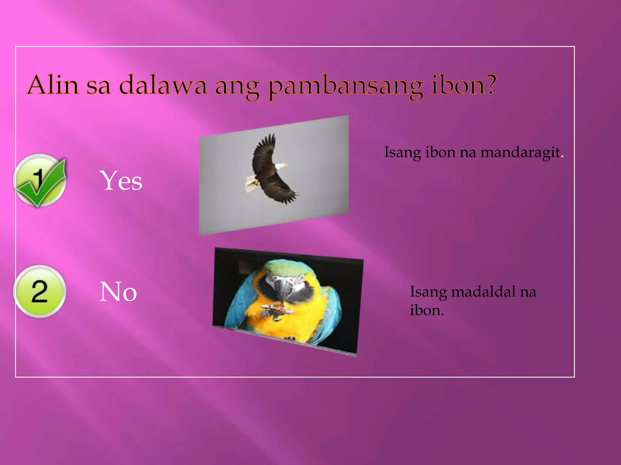 Powerpoint rach | PPT