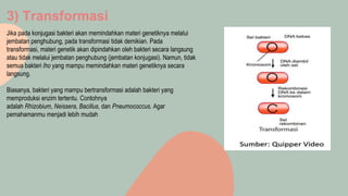 powerpoint Reproduksi bakteri.pptx