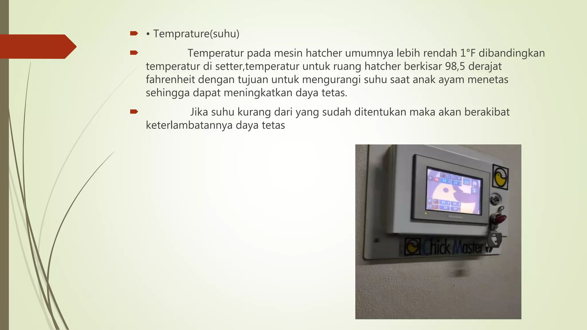 Powerpoint rosihatull HATCHERY | PPTX