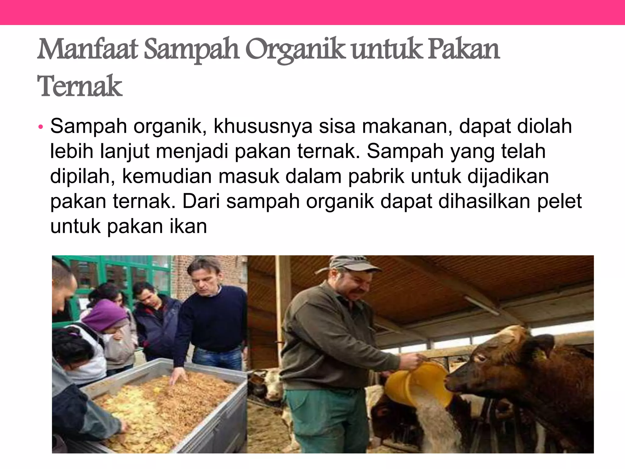 POWER POINT SAMPAH ORGANIK DAN ANORGANIK.pptx