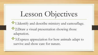 powerpoint science camouflage and mimicry.pptx