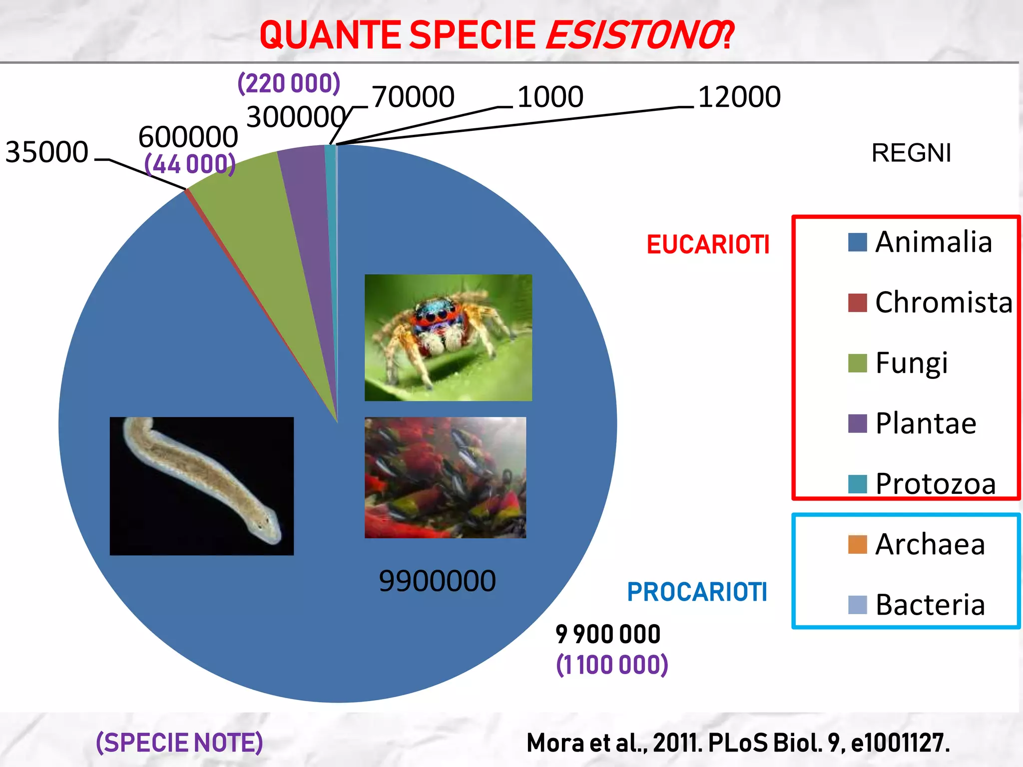 powerpoint scienze riccardoboltasiu.pptx