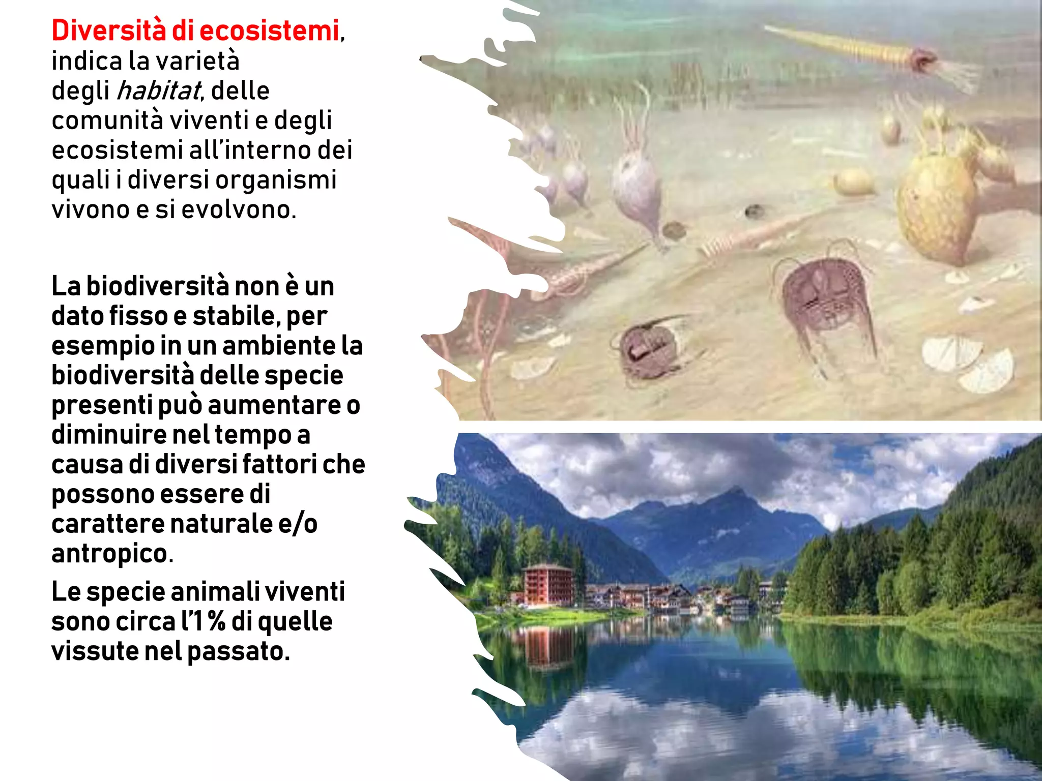 powerpoint scienze riccardoboltasiu.pptx