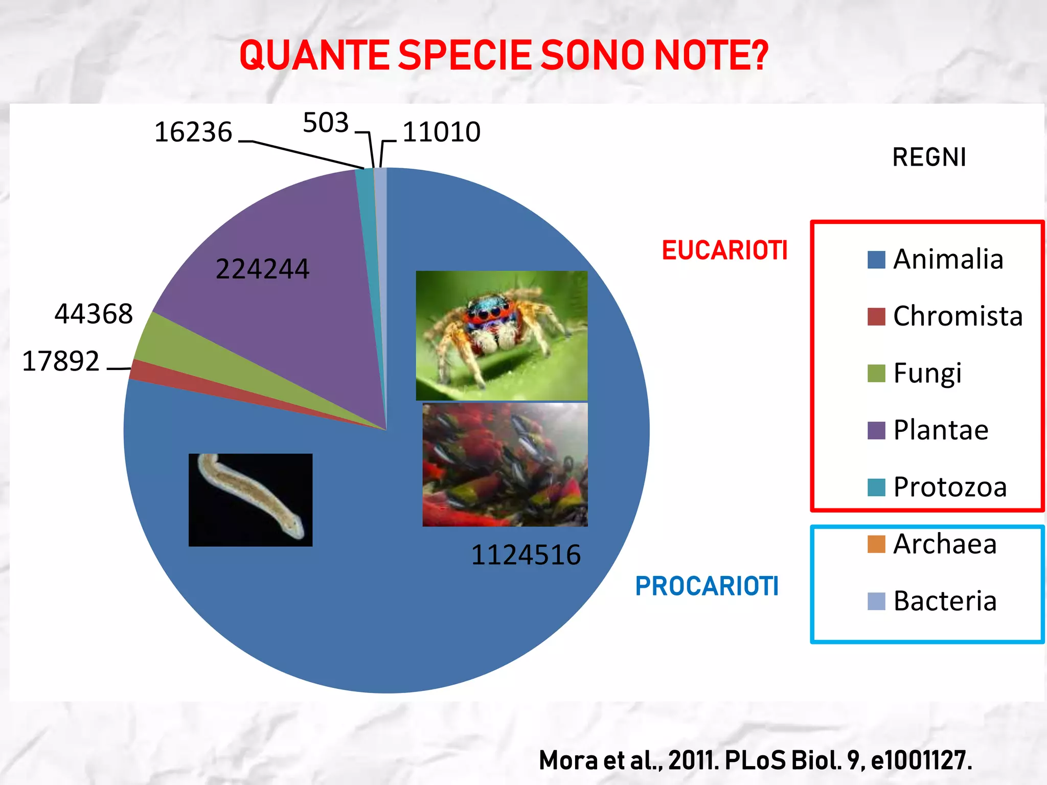 powerpoint scienze riccardoboltasiu.pptx