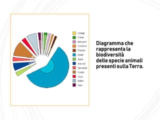 powerpoint scienze riccardoboltasiu.pptx