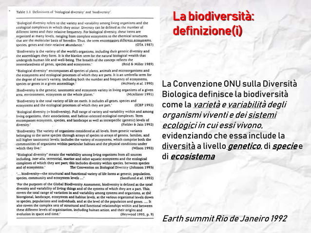 powerpoint scienze riccardoboltasiu.pptx