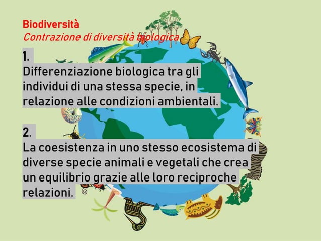 powerpoint scienze riccardoboltasiu.pptx