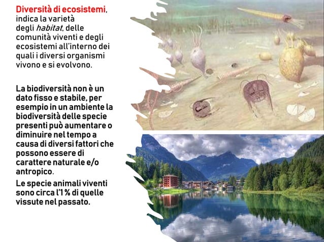 powerpoint scienze riccardoboltasiu.pptx