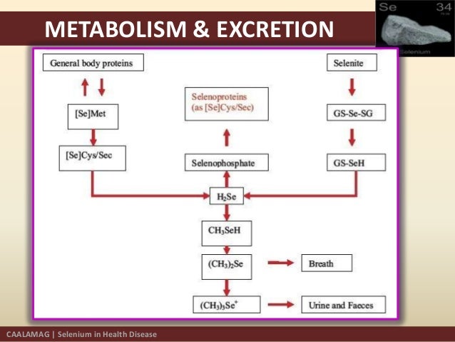 Selenium in Health and Nutrition