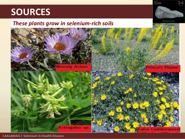 Selenium in Health and Nutrition