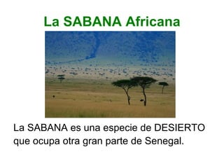 Powerpoint senegal | PPT