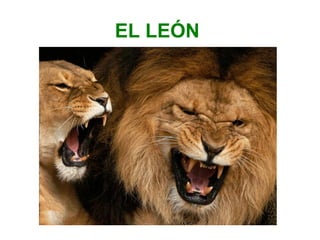 Powerpoint senegal | PPT