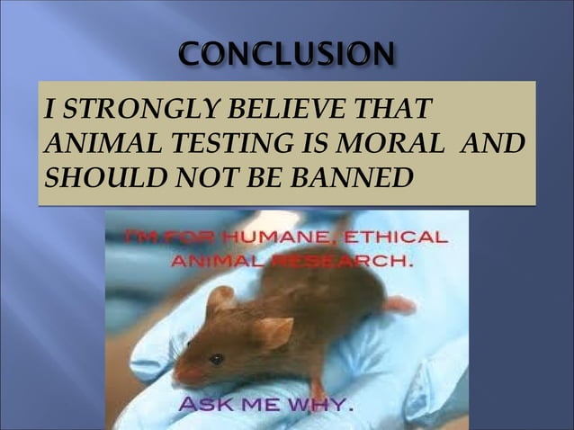 Animal Testing | PPT