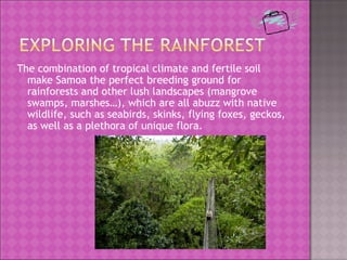 Power pointshow | PPT