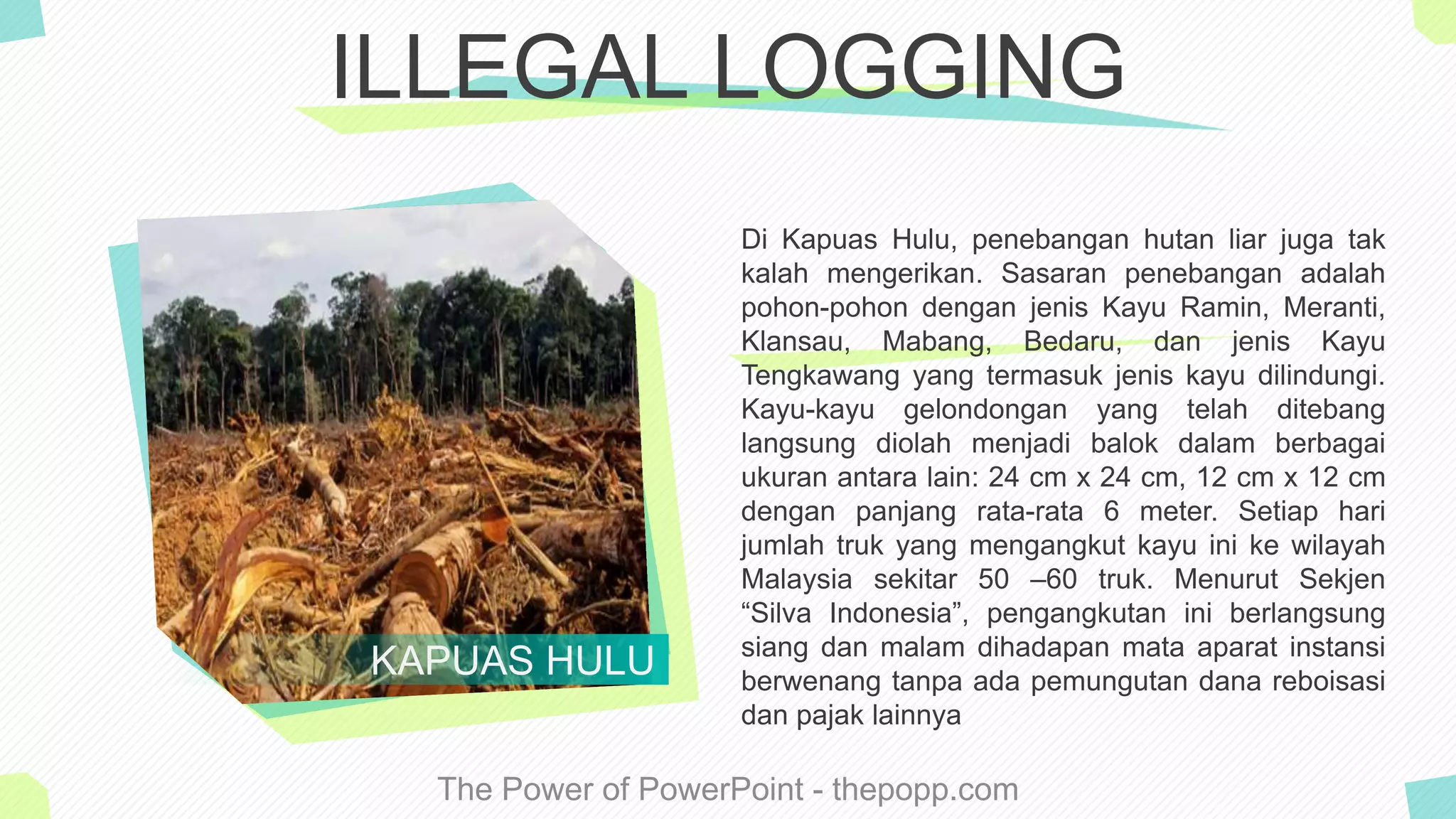 ETIKA LINGKUNGAN ( ILLEGAL LOGGING ) | PPTX