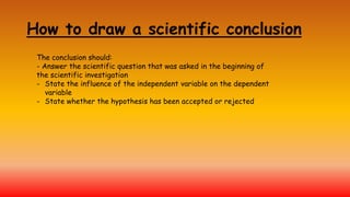 Powerpoint Slide for website .pptx