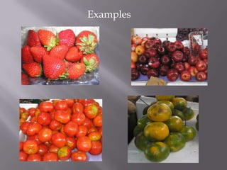 The Six Food Groups | PPTX