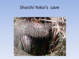 Japanese Holdouts of WWII | PPTX