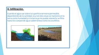 El ciclo del agua | PPTX